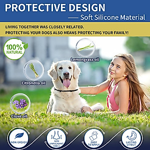 4 Pack Flea Collar for Dogs, Flea and Tick Collar for Dogs Puppies, 32 Months Flea and Tick Prevention for Dogs, Dog Flea Collar, Dog Flea and Tick Treatment-Black and Purple