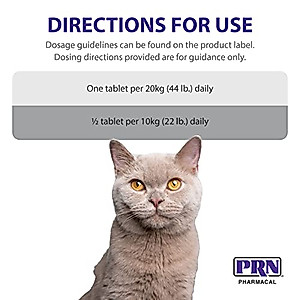 PRN Pharmacal CranMate Cranberry Supplement - Chewable Cranberry Extract Nutritional Supplements for Dogs & Cats - Cranberry Urinary Tract Health - 60 Chew Tabs