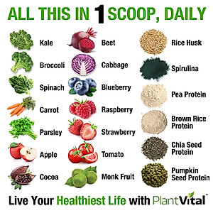 Plantvital Vegan Protein Powder Plant Based - Organic Protein Powder Chocolate - 24g/0g Sugar, 18 Superfoods, Probiotics, Raw Cocoa, Pea, Gluten-Free, Keto-Friendly, 16oz