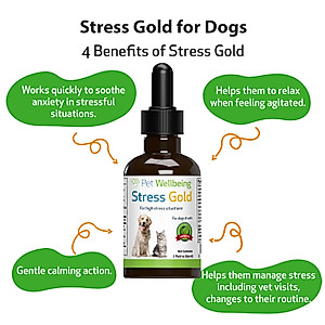 Pet Wellbeing Stress Gold for Dogs - Vet-Formulated - Calming and Relaxing Support for High-Stress Situations - Natural Herbal Supplement 2 oz (59 ml)