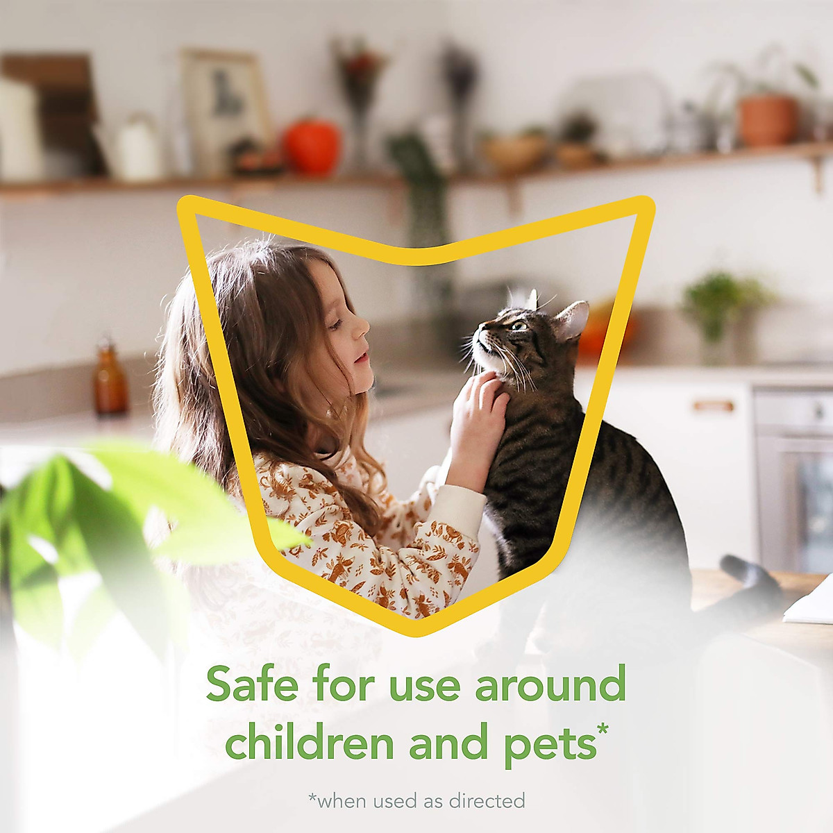 Raid Essentials Ant & Roach Killer Spray Bottle, Child & Pet Safe, Kills Insects Quickly, for Indoor Use, 12 Fl Oz (Pack of 3)