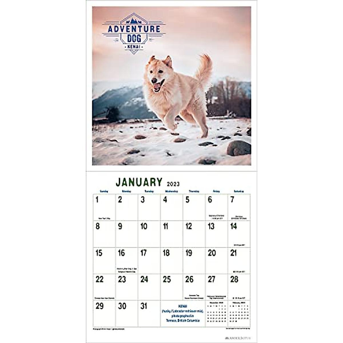 Adventure Dogs 2023 Wall Calendar: Hiking, Camping, and Traveling with Courageous Canines | 12" x 24" Open | Amber Lotus Publishing