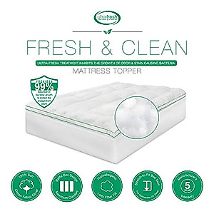 BioPEDIC Clean 2.5-Inch Fiberfill Mattress Topper Odor and Anti-Stain Ultra-Fresh Treated Fabric, Twin, White