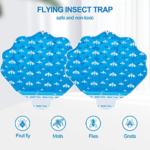 Flying Insect Trap HU002 Plug-in (2 Pack, White) and Flying Insect Trap Refill Kit(5 Pack-Refill, Transparent)