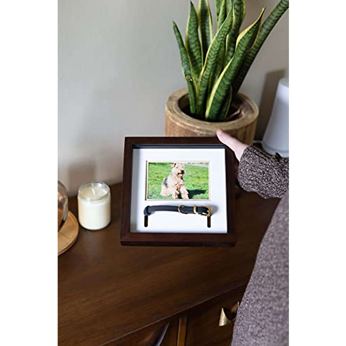 Pearhead Pet Collar Keepsake Frame, Pet Memorial Picture Frame, Pet Owner Home Decor, Cat Or Dog Keepsake, 3" x 4.5" Photo Insert, Wall Mount And Tabletop Frame, Espresso