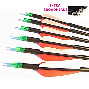 Fay Outdoor Sport 12PK Spine 450 Carbon Arrows Archery Hunting and Targeting Arrow with 100 Grain Points for Compound Recurve and Long Bow with Extra Field Tips (29 Inch)