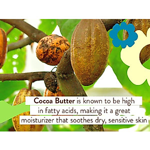 Babo Botanicals Sheer Zinc Mineral Sunscreen Sport Stick SPF30- Natural Zinc Oxide- Shea Butter- Fragrance-Free - Water Resistant - MADE SAFE Certified