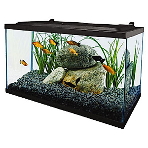 Tetra Complete LED Aquarium 10 Gallons, Includes LED Lighting, Filtration and Accessories