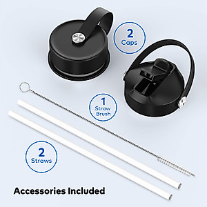 BUZIO Stainless Steel Water Bottle Vacuum Insulated (Cold for 48 Hrs, Hot for 24 Hrs), Graphite 32oz Tumbler Travel Flask with Straw Lid and Flex Cap, Fit in Any Car Cup Holder