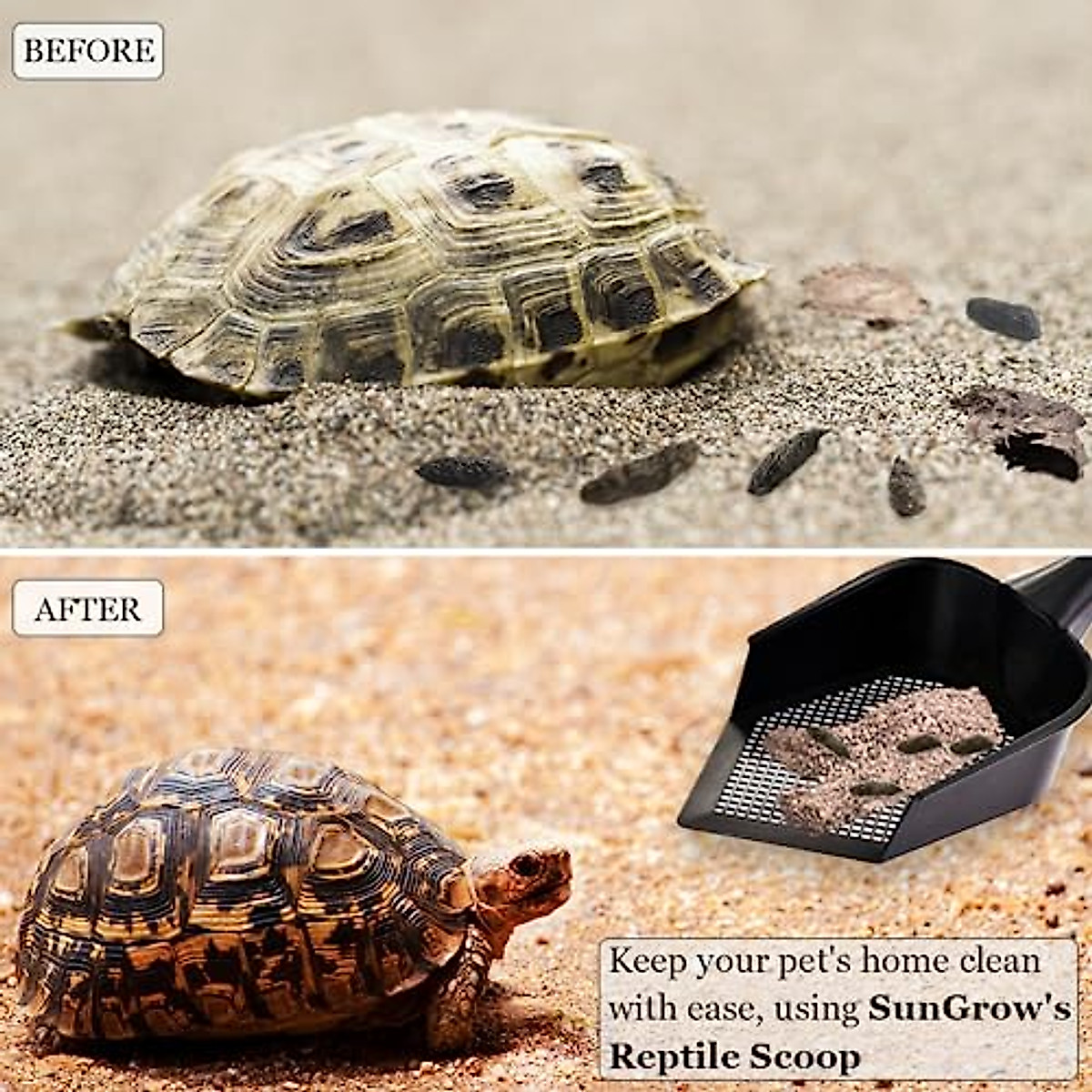 SunGrow Reptile Litter Scoop, Pointed Edge, for Cat & Chicken Coop, Right-Angled Wide and Deep Shovel, Black, 1 Pc per Pack