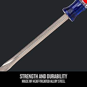 CRAFTSMAN Screwdriver Set, 42 Pieces, Acetate Handle, Made of Steel with Satin-Nickle Finish (CMHT65300)