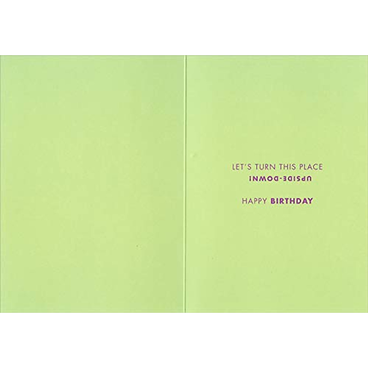 Designer Greetings Two Ducks Wearing Party Hats on Tail Feathers Funny/Humorous Birthday Card