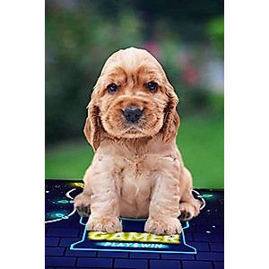 Flannel Gaming Throw Blanket for Boys Girls Teens, Soft Fluffy Video Game Blankets for Kids Teenage Adults, Gamer Fleece Throw Blankets for Beds Bedroom Room Decor Couch 60x50 Inches