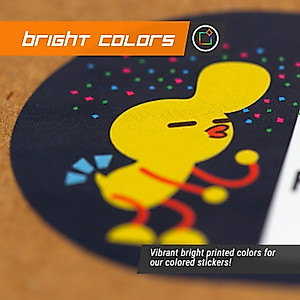 300 DNR Label Stickers, 1 x 2 Inch Do Not Resuscitate Sticker Chart Medication DNR Prescription Labels Veterinary Medical Pharmacy File Folder Medical Rx Vet Tech - 1 Pack of 300 Labels