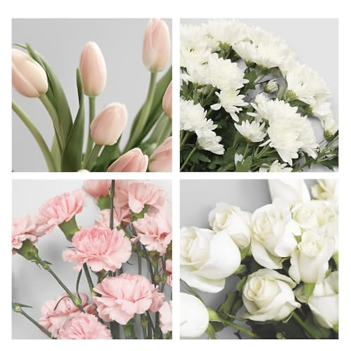 FranklinCovey - Blooms Address/Phone Tabs - Expansion for Planners (Compact, Pink/Green)