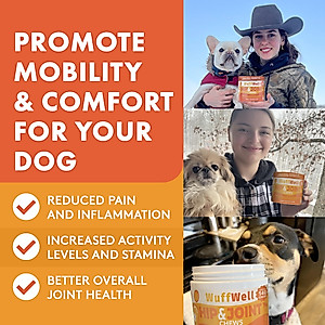 WuffWell Dog Hip and Joint Supplement - Pain and Inflammation Relief Chews with Glucosamine, Chondroitin, MSM, Turmeric - 140ct - Treats Hip Dysplasia, Arthritis - Dogs Chewable Supplements - USA Made