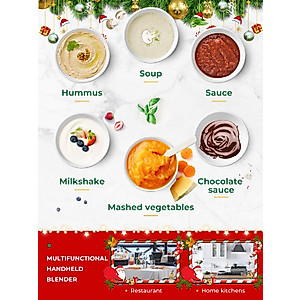 Flyseago Commercial Immersion Blender Hand held Blenders Heavy Duty Variable Speed Mixer 4000-16000RPM with 20-Inch Removable Shaft 50-Gallon Capacity 500W Multifunction Pro Electric Stick Emulsifier