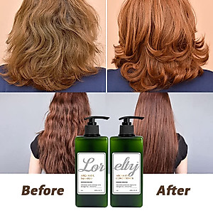 LORELTY Argan Oil shampoo and conditioner set for dry damaged hair treatment for damaged hair repair -for All Hair Types & Color Treated Hair, Men and Women