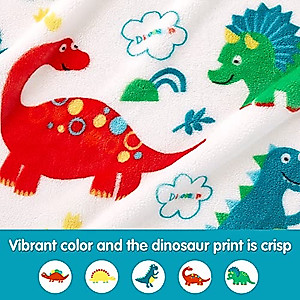Andywoo Dinosaur Baby Blanket for Boys and Girls, Dinosaur Toddler Blanket, Warm Soft Fluffy Lightweight Fleece Blanket with Colorful and Cute Cartoon Dinosaur Design on Both Sides, 30x40 Inches