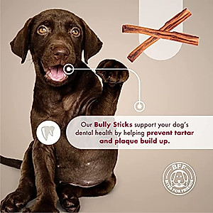 BFF Bully Sticks 6 inch (10 Count) - Long Lasting Dog Treats - Natural No-Hide Grain-Free Gluten-Free Dog Chews - Low Odor Bully Sticks - Thick Bully Sticks for Small and Medium Dogs