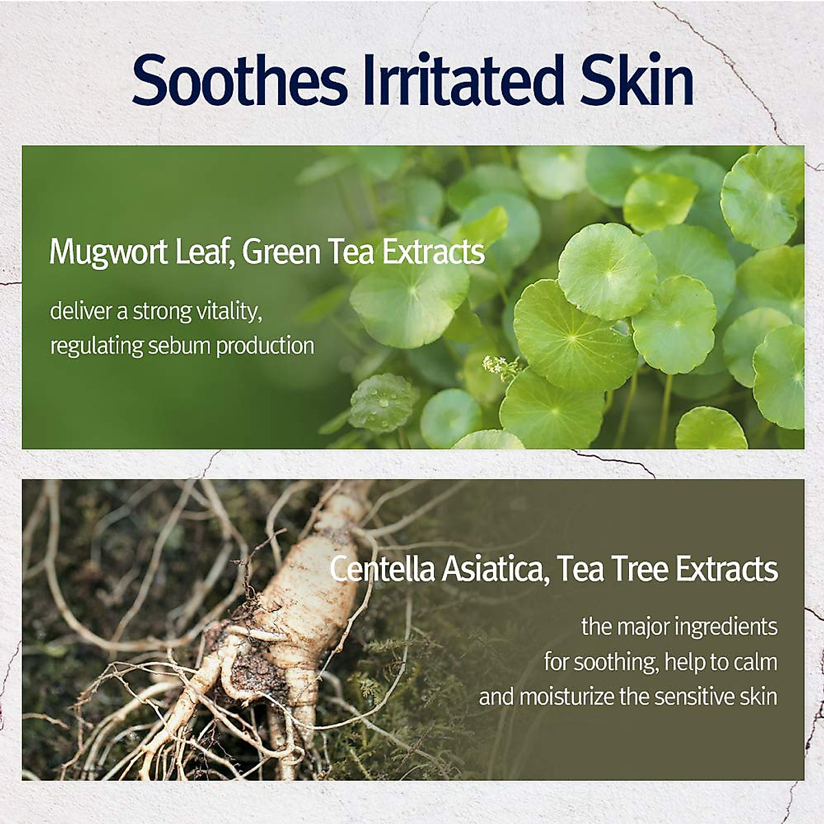 Pyunkang Yul Highly Moisturizing Mask Pack 10 PCS - Korean Ceramide Vitamin Face Sheet Mask Skin Care Products - Beauty Face Mask Containing Panthenol, Hyaluronic Acid, Tea Tree, Cica