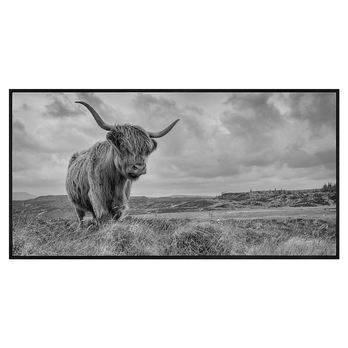 MoBlinko Highland Cow Kitchen Rugs Scotland Cattle Non Skid Bath Mat 39x 20 Inch Washable Standing Floor Mat Runner Carpet for Bathroom Home Office Farmhouse Laundry