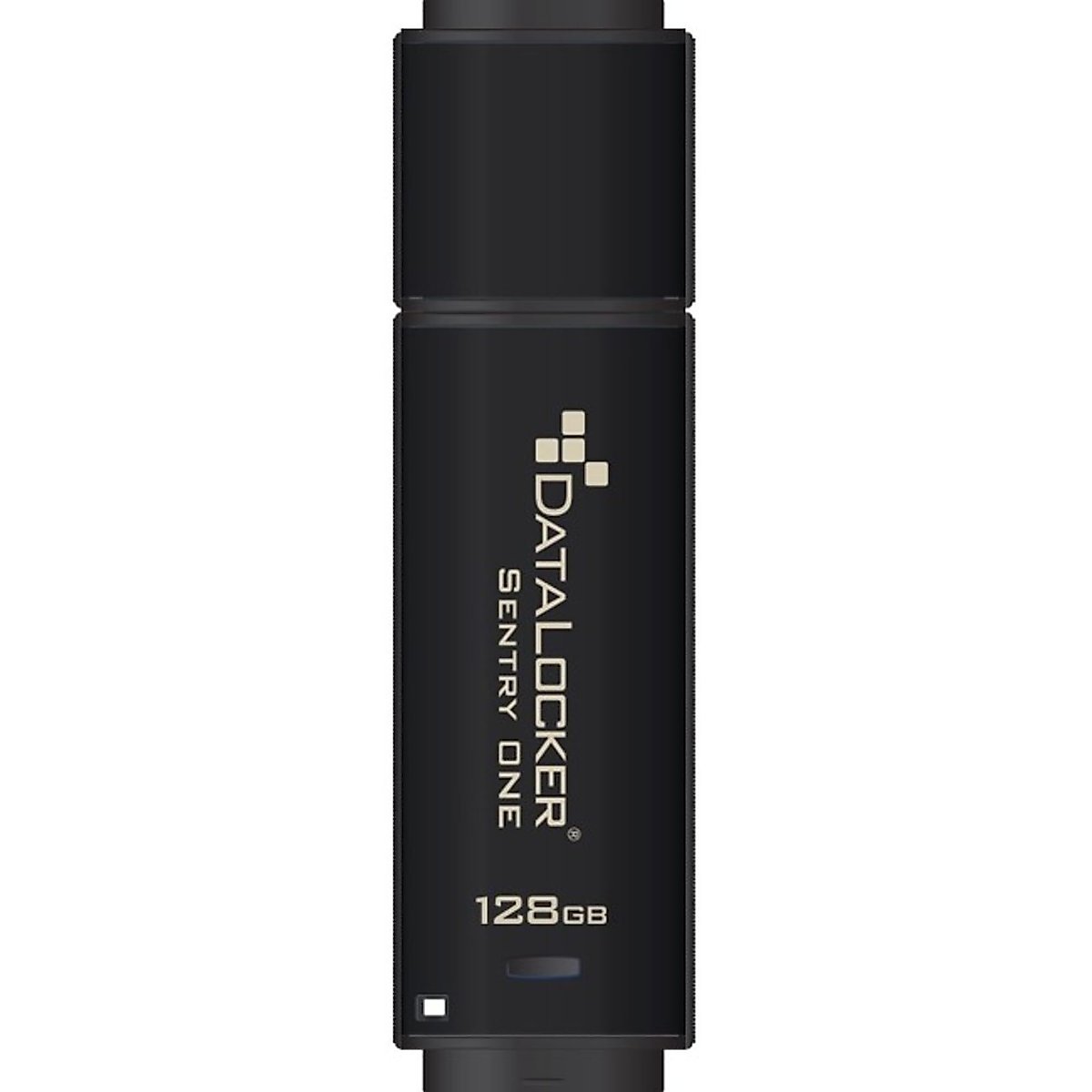 DataLocker Data Locker Sentry ONE Encrypted Flash Drive - 128 GB - USB 3.1-256-bit AES - TAA Compliant