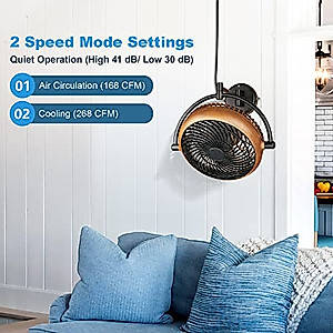 Parrot Uncle Wall Mount Fans Pull in Ceiling Fan with Folding Arm Cord with Plug, 10 Inch, Walnut Color