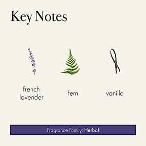 LAFCO Lavender Amber Signature Candle, Studio