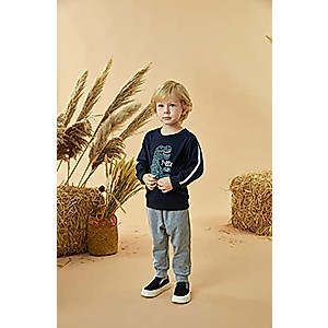 HIHA Dinosaur Outfits Boys 12-18 Months T-Rex Dinosaur Clothes Toddler Boy Sweatsuit Long Sleeve Navy Sweatshirts Grey Jogger Pants Set Little Boys Fall Winter Outfits(Gray, 12-18 Months)