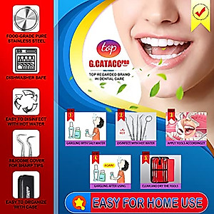 Dental Tools, Teeth Cleaning Tools, Professional Dental Hygiene Kit, Plaque Remover for Teeth, Stainless Steel Tooth Scraper Plaque Tartar Cleaner, Dental Scaler - with Case