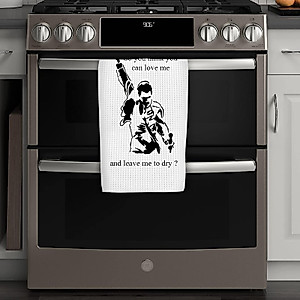 WCGXKO Song Lyrics Inspired Kitchen Towel So You Think You Can Love Me and Leave Me to Dry Dishcloth (Leave Me to Dry)