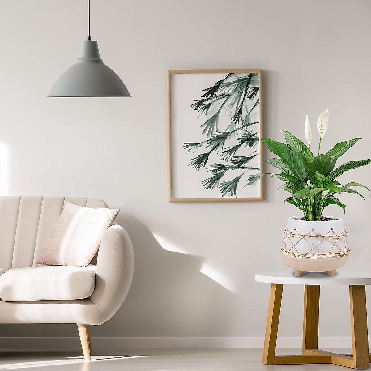 Chonsun Ceramic Planter 8 Inch Plant Pots Indoor Outdoor Planter with Drainage Hole Flower Pots Plant Pot Ceramic Mid-Century