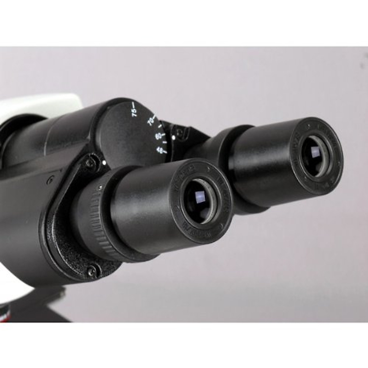 AmScope T340B-DK-LED Siedentopf Trinocular Compound Microscope, 40X-2000X Magnification, Brightfield/Darkfield, WF10x and WF20x Eyepieces, LED Illumination, Abbe Condenser, Double-Layer Mechanical Stage