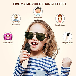 Fede Karaoke Machine for Kids Adults, Mini Karaoke Machine with 2 Wireless Microphones, Portable Bluetooth Speaker with Voice Changing Effects & LED Lights, Best Gifts Toys for Girls and Boys