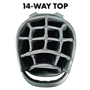 Team Golf MLB Chicago White SOX Birdie Golf Stand Bag, Lightweight, 14-Way Club Divider, Spring Action Stand, Insulated Cooler Pocket, Velcro Glove and Umbrella Holder & Padded Handles