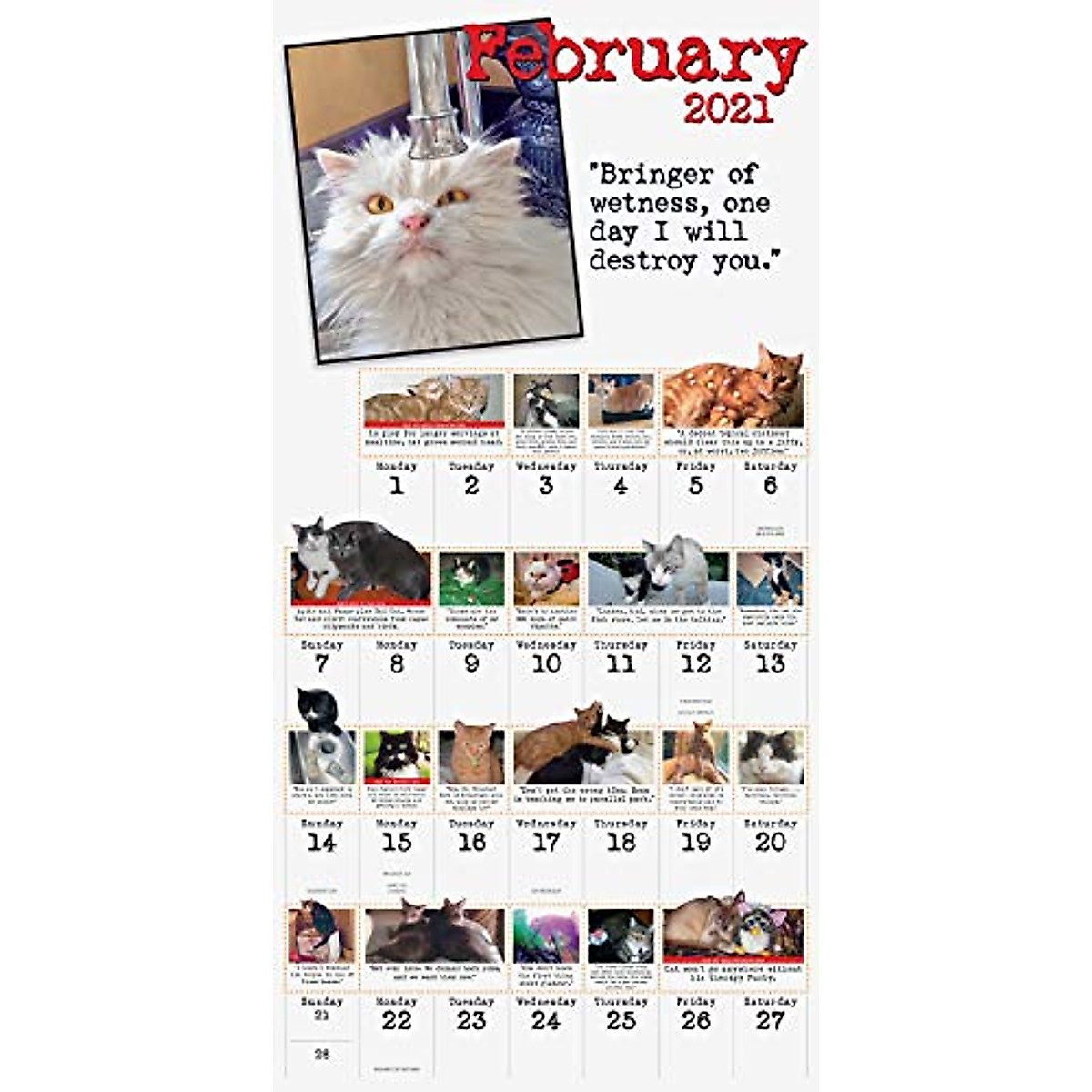 Bad Cat Wall Calendar 2021