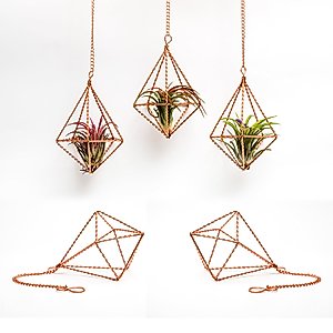 libproqia 5 Pcs Hanging Geometric Air Plants Holders Twisted Metal Airplant Hangers Small Diamond Shape Tillandsia Planter Display with Chains Himmeli Decor for Home and Office,Rose Gold
