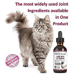 NODENS CAT Hip and Joint Glucosamine for Cats with Chondroitin and Opti-MSM® Hyaluronic Acid for Improved Joint Flexibility and Pain Relief from Inflammation and Cat Arthritis 2 floz