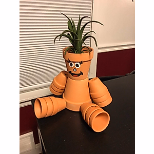 BESTTOYHOME 48 Pcs Small Mini Clay Pots 2'' Terracotta Pot Clay Ceramic Pottery Planter Cactus Flower Pots Succulent Nursery Pots- Great Plants,Crafts,Wedding Favor