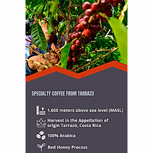 La Cumbre Specialty Coffee Whole Bean Medium Roast, Arabica Beans, Low Acid, Gourmet Whole Bean, Vegan, Kosher & Keto Friendly, Red Honey Process 12 oz, 2 Pack