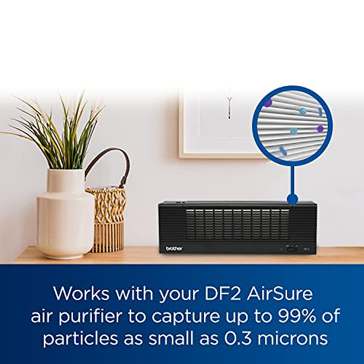 Brother DF-2 High-Efficiency Filter Replacement Model Number FH221, Black