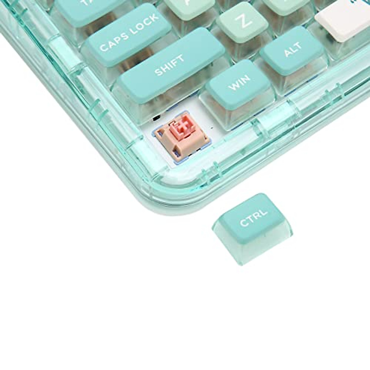 Acogedor Bluetooth / 2.4Ghz Wireless/Type - C Wired Mechanical Gaming Keyboard, RGB Hot - Swappable, Gasket Structure, 80 Keys, Transparent Case, 2 Layers Keycaps (Green)