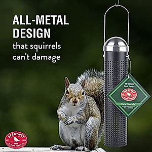 Perky-Pet FF10 10-Inch Metal Finch Feeder