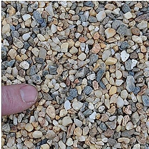 Super Z Outlet Tiny Miniature Fairy Garden Beach Rock Pebbles Collection for Art & Craft Project, Outdoor & Indoor Home Garden Decoration, Party Favor, Invitation (1 Pound Bag)
