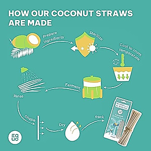 EQUO Coconut Straws, Disposable, Biodegradable, Compostable, and Plastic-Free Drinking Straws, Pack of 50, Standard