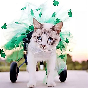 Cat Wheelchair, Lightweight 2 Wheels Pet Wheelchair, Adjustable Cat Barrier Wheels for Rehabilitation Aid for The Back Legs of Aging, Disabled, Injured, Arthritis, Weak cats/pets (XS)