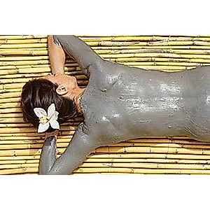 Authentic Premier Dead Sea Mud Mask from Israel Detox Cleanse Exfoliate Rejuvenate Anti Acne Eczema Psoriasis Treatment Organic Skin Care Products DEAD SEA SECRETS Premier Skin Care