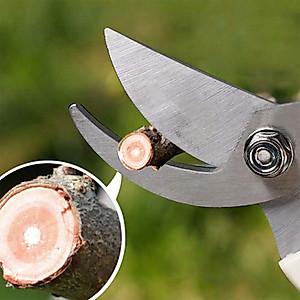 BUGUI Garden Pruning Shears Set - 2 Pack, 1 Bypass Pruner+1 Straight Blade Scissors, Sharp Garden Shears for Cutting Flowers, Trimming Plants, Bonsai, Fruits Picking