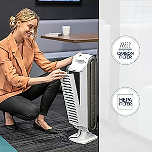 Fellowes AeraMax 100 Air Purifier for Mold, Odors, Dust, Smoke, Allergens and Germs with True HEPA Filter and 4-Stage Purification - 9320301, White, Small